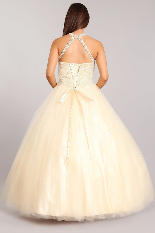 Quinceanera Dresses 2024 | Ball Gowns 2024 | Vestidos de Quinceanera ...