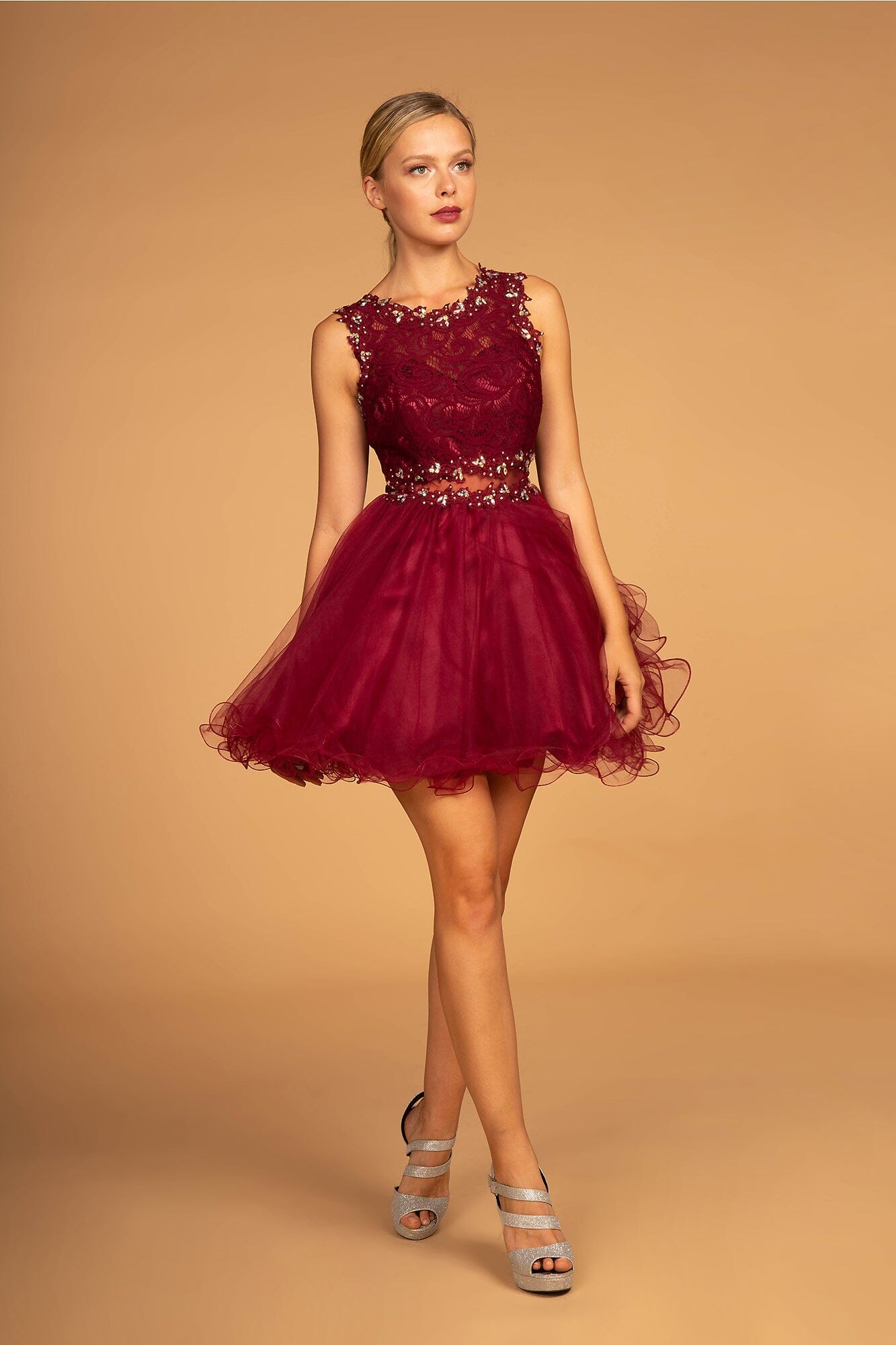 Short Dress with Lace Bodice and Sheer Waistline by Elizabeth K GS1427 ...